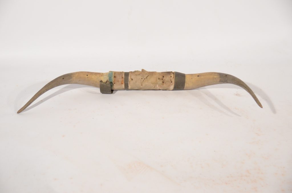 Rogovi - Druga Perspektiva