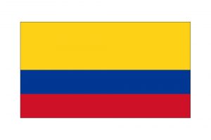 Zastava Bosne i Hercegovine - Druga Perspektiva